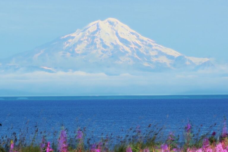 How Big is Alaska Compared to the US? Surprising Facts - States Tale