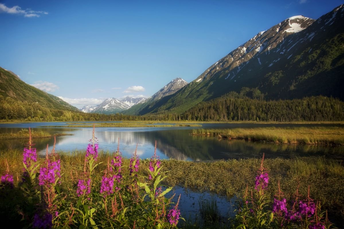 How Many Lakes in Alaska? Unveiling Alaska's Countless Gems! - States Tale