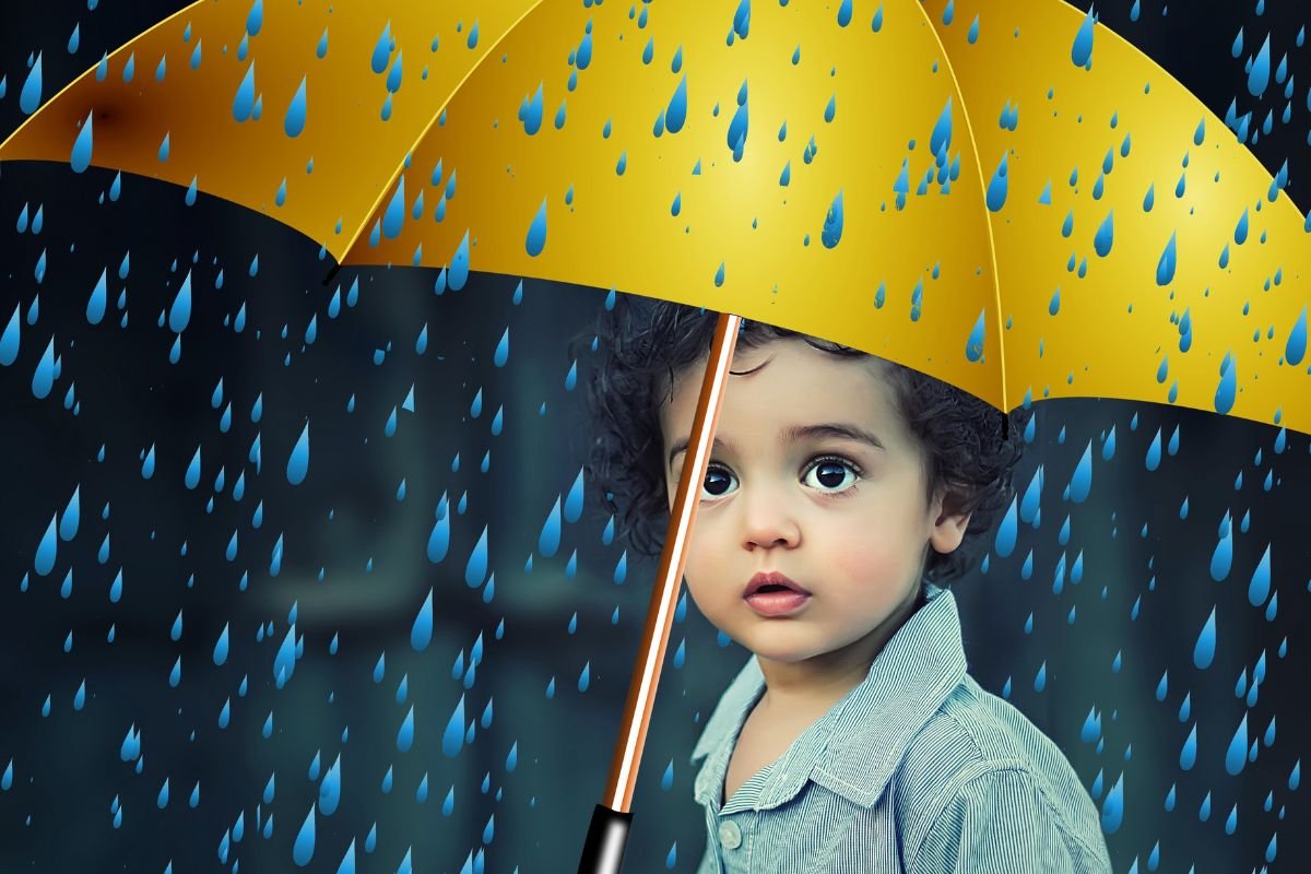 When is the Rainy Season in Florida? Essential Guide! - States Tale